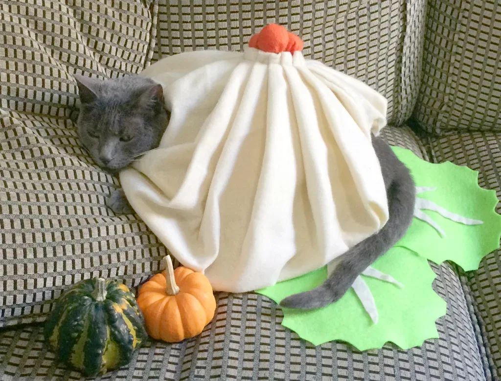 29 Halloween Costumes To Do With Your Cat | Fun & DIY Ideas