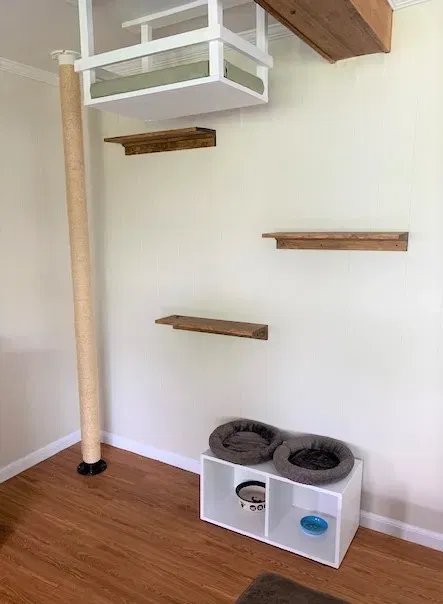 30 Fun DIY Cat Shelves To Upscale Your Feline's Playtime